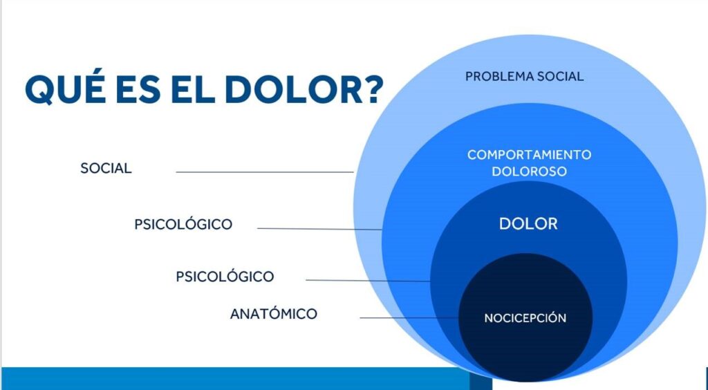 Día Mundial del Dolor: 17 de octubre – Marcela Fittipaldi Magazine