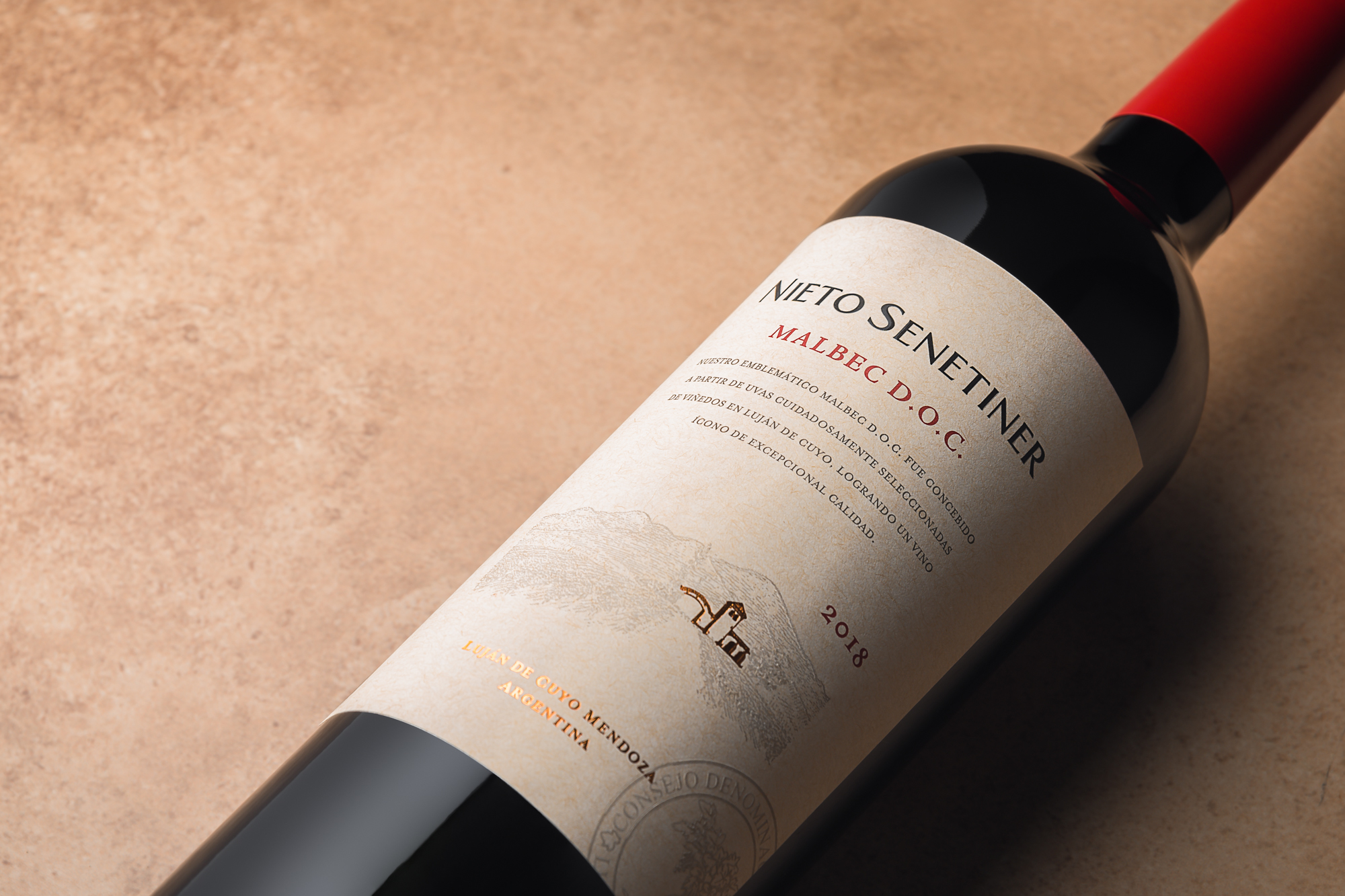 Por qué el Malbec es el más celebrado en Argentina – Marcela Fittipaldi ...
