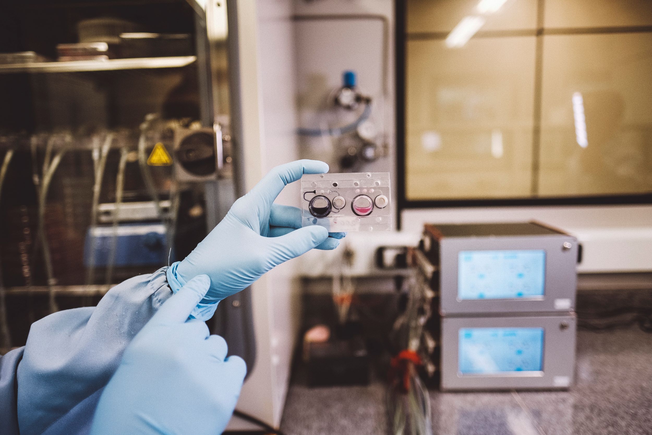 Human-on-a-chip: la metodología inédita desarrollada por Natura y LnBio ...