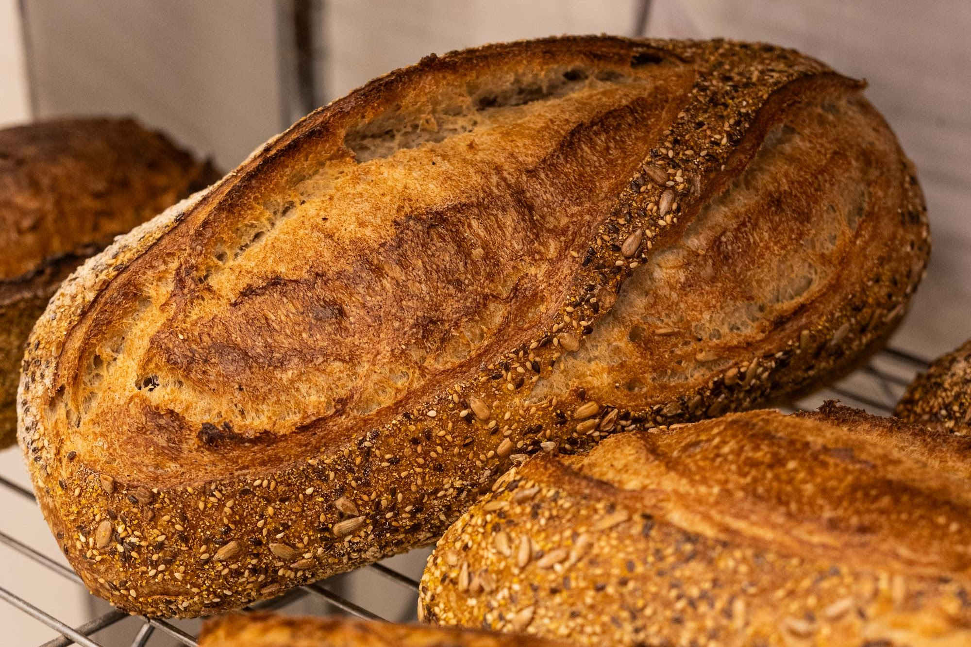 CINCO TIPS DE GABRIEL KOGAN PARA TRABAJAR CON HARINAS ORGÁNICAS Y MASA ...