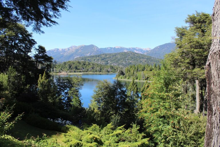 Cuánto sale vacacionar en Bariloche este verano 2026 – Marcela ...